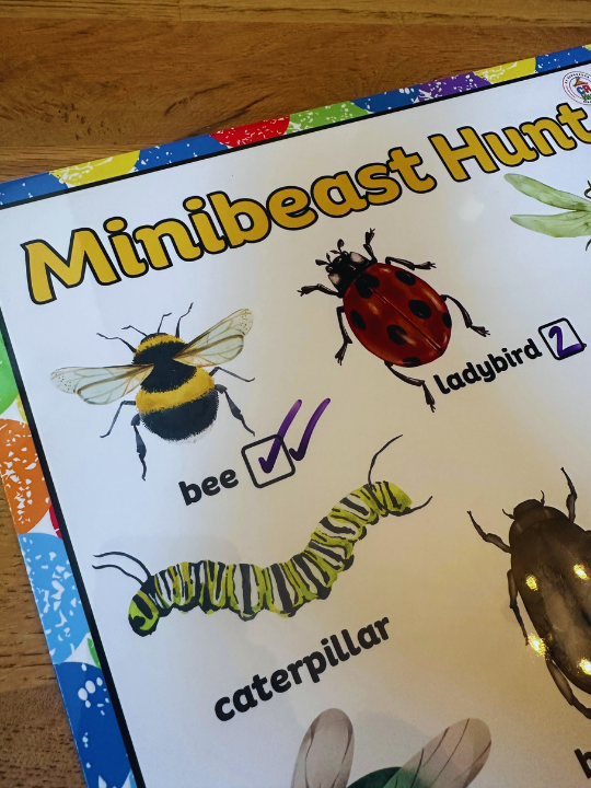NEW!! Outdoor - Minibeast Hunt- Activity Board| CR Hut